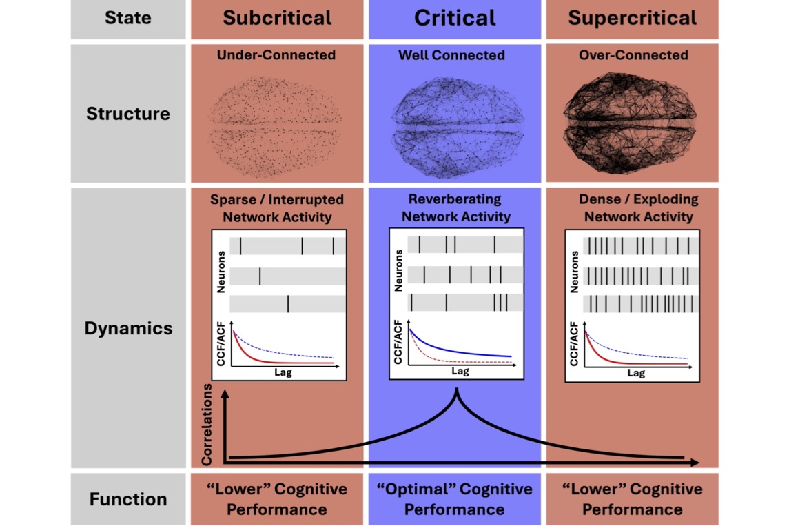Computational Neurology